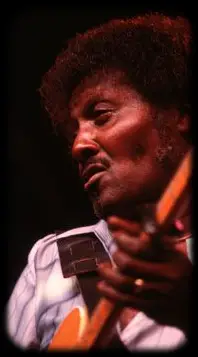Albert Collins